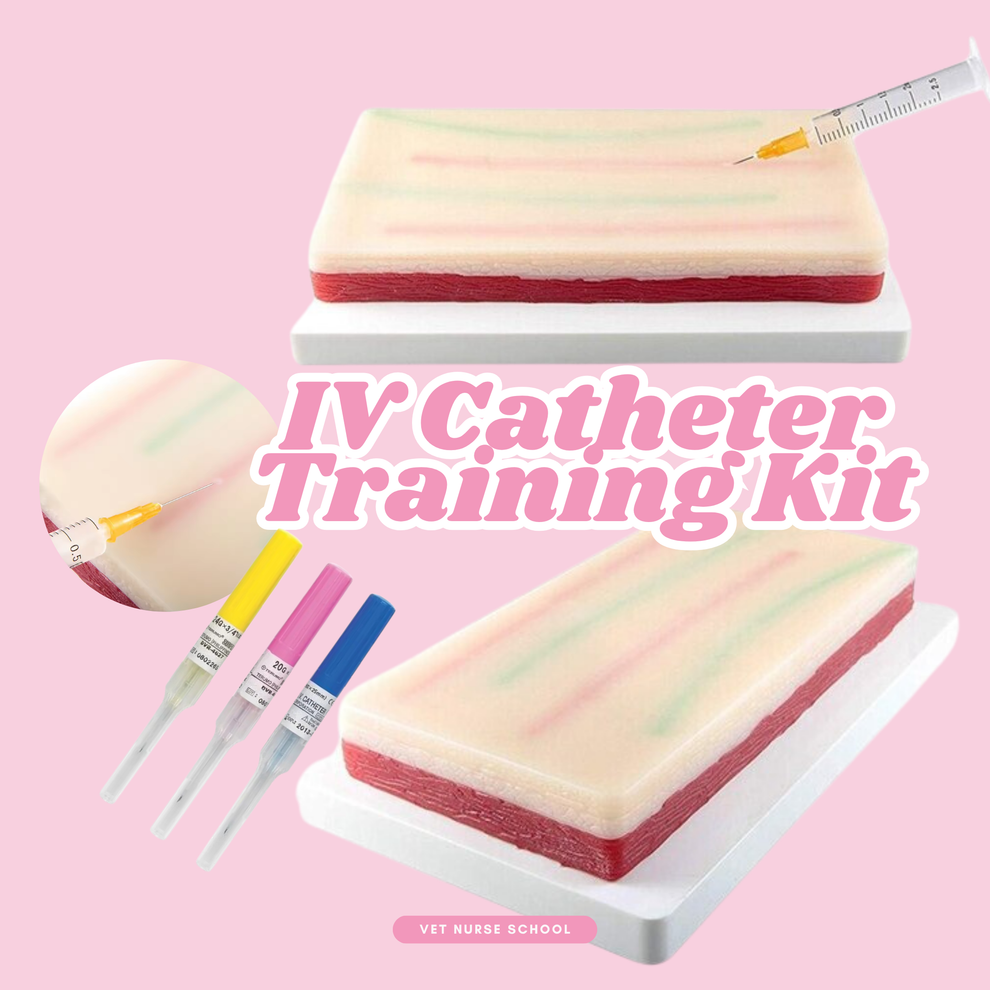 IV Catheter Training Kit for Veterinary Nurses – Vet Nurse Shop